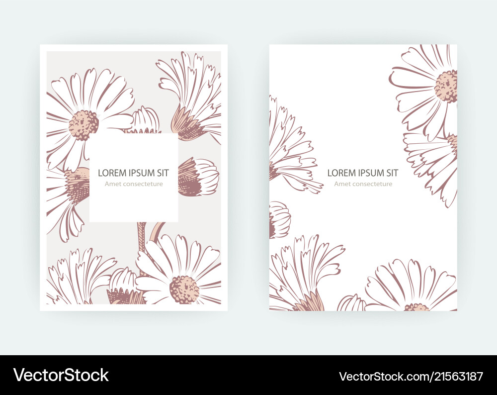 Card with flowers calendula chrysanthemum Vector Image