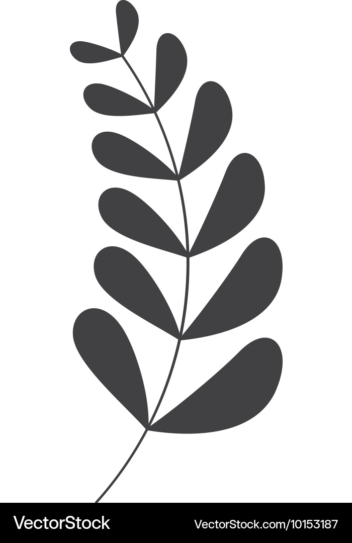 Leaf garden decoration floral icon graphic Vector Image