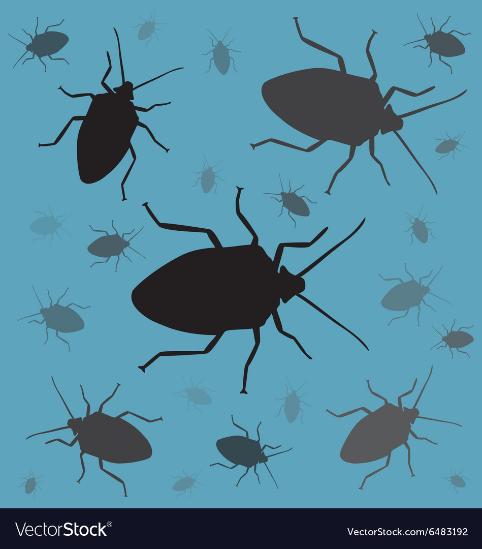 Bug Royalty Free Vector Image - VectorStock