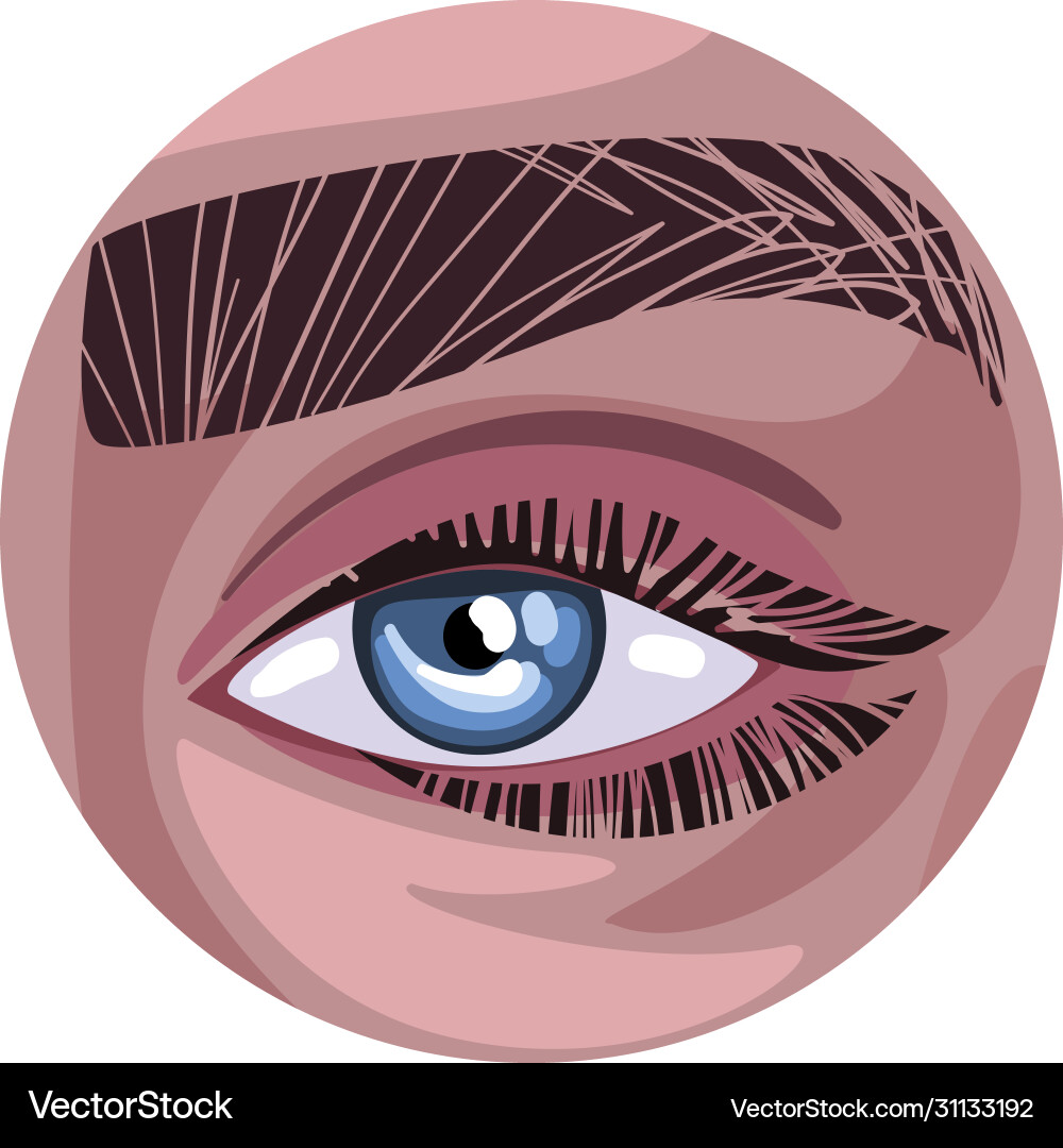 Female blue eye in circle part human face Vector Image