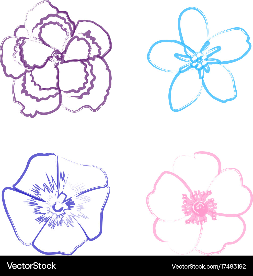 Set of flower outlines Royalty Free Vector Image