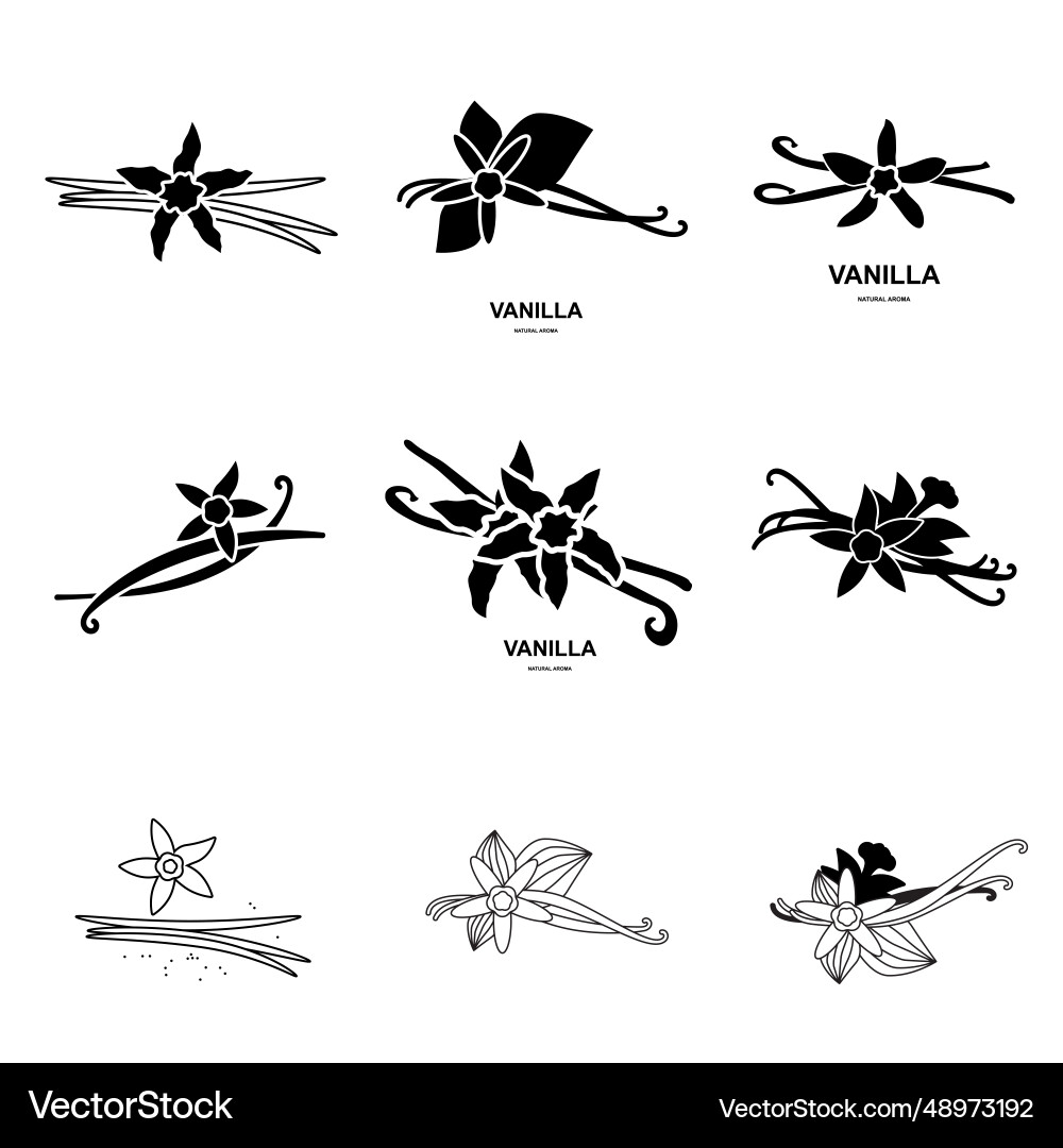 Vanilla pod icon orchid bean sticks dry vanillin Vector Image