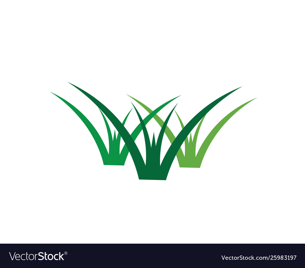 Grass template Royalty Free Vector Image - VectorStock