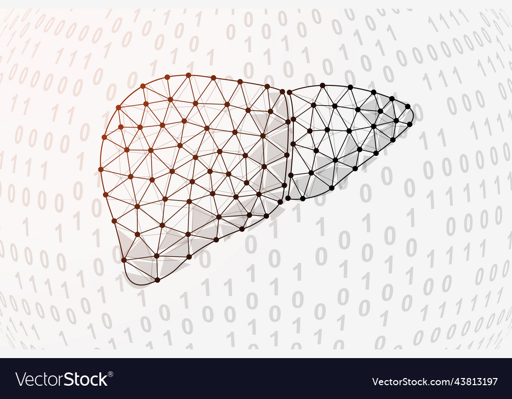 Liver 3d low poly symbol with binary code Vector Image