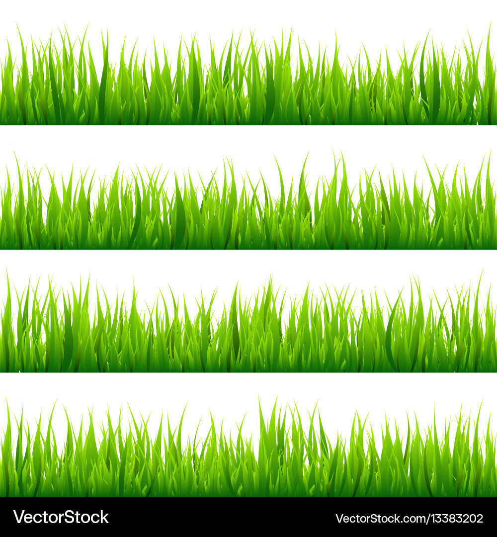 Grass isolated on white set green meadow nature Vector Image