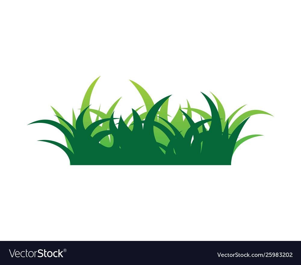 Grass template Royalty Free Vector Image - VectorStock