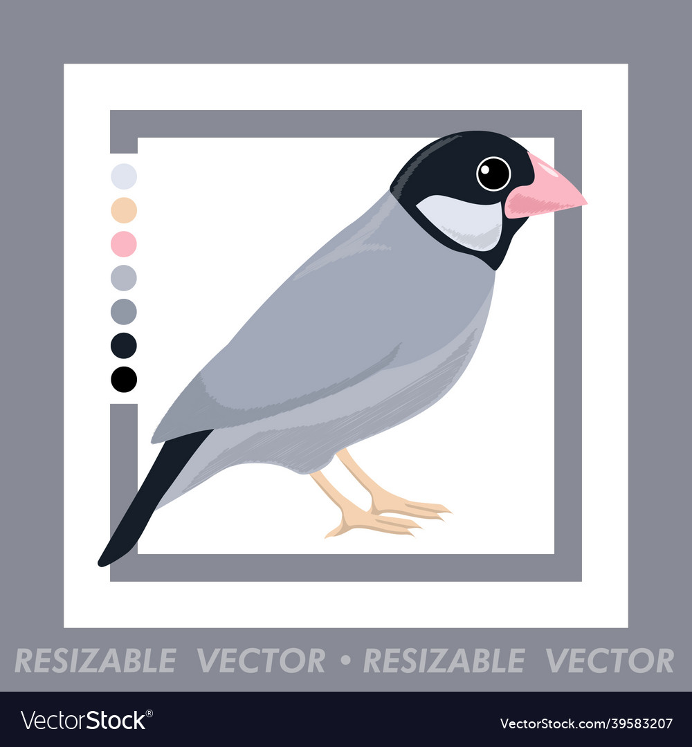 Finch Royalty Free Vector Image - VectorStock