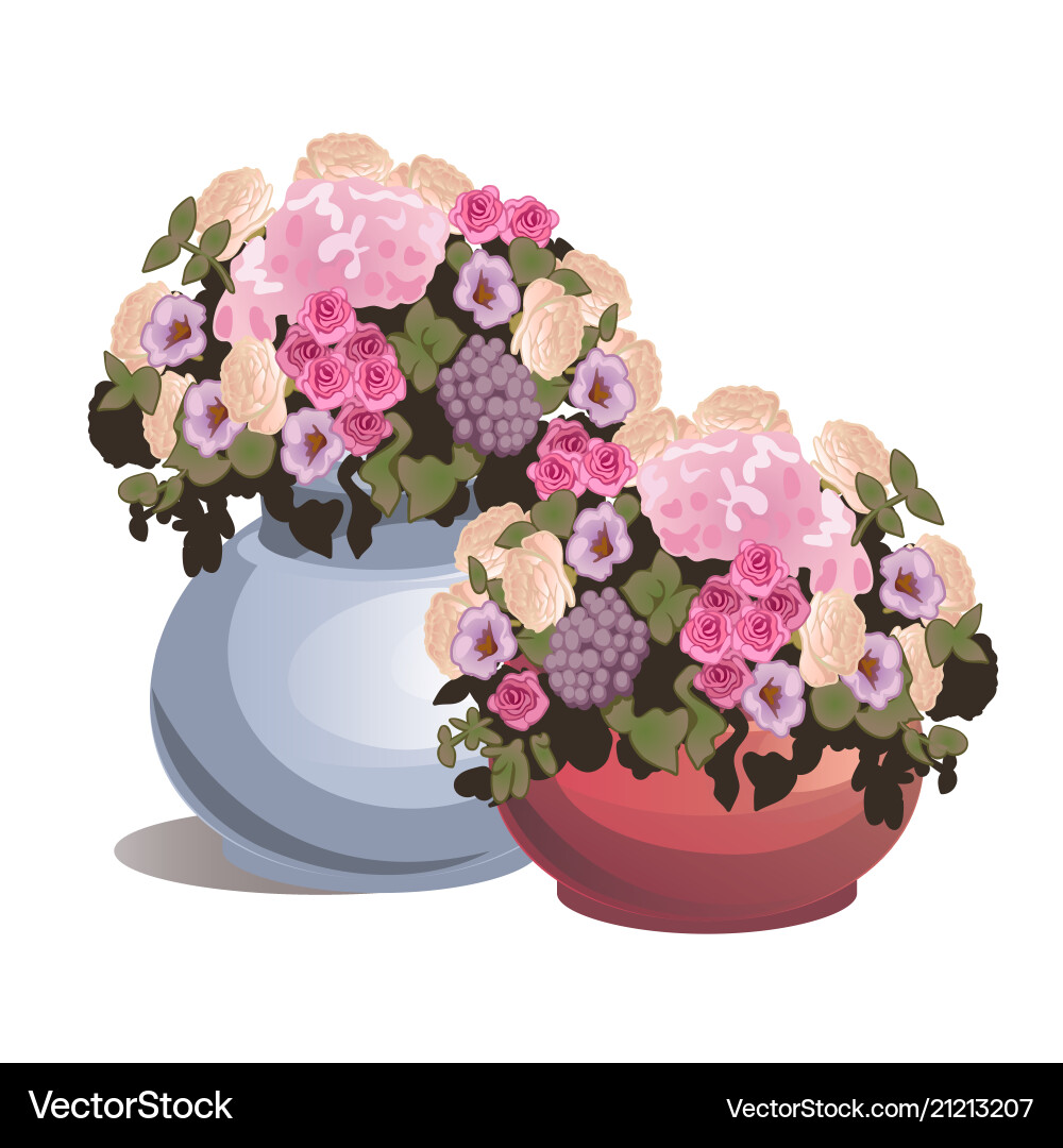 Set potted flowers isolated on white background Vector Image
