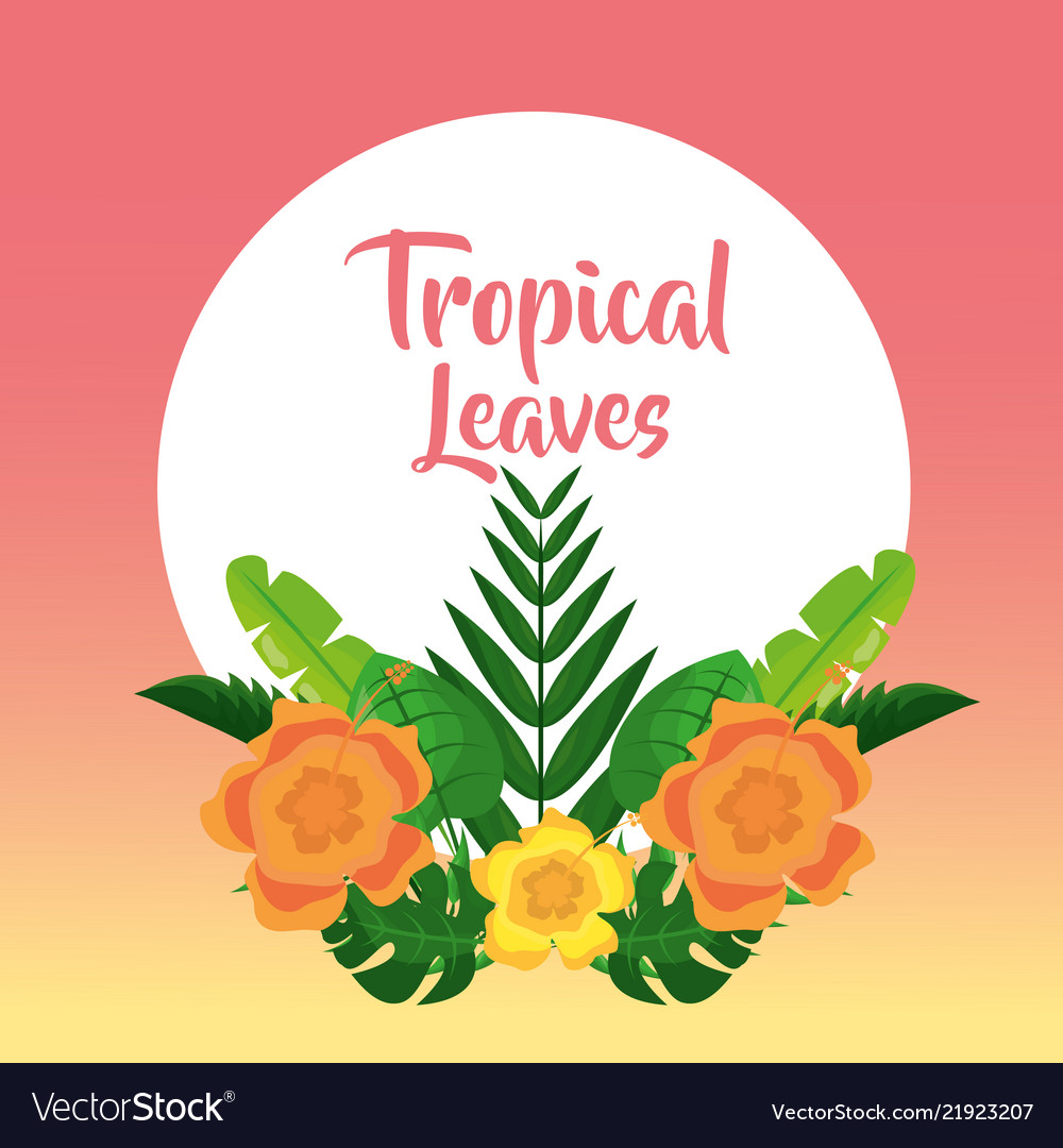 Tropical leaves banner template fashion decoration
