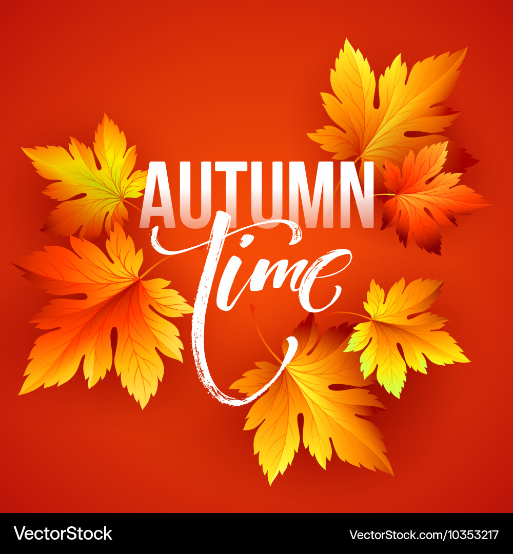 Autumn time seasonal banner design fall leaf Vector Image