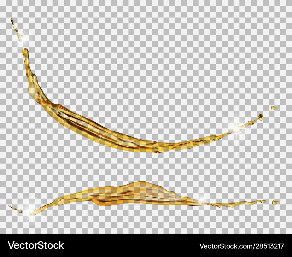 Oil splashing isolated on white background Vector Image