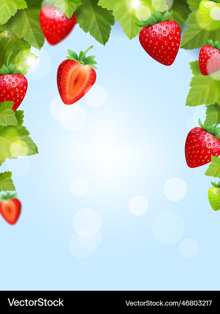Red strawberry with leaves vertical banner Vector Image