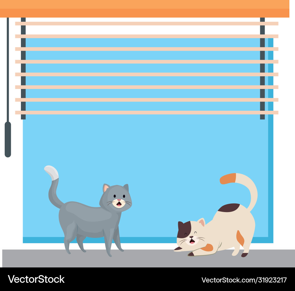 Window for interior and exterior with cats mascots