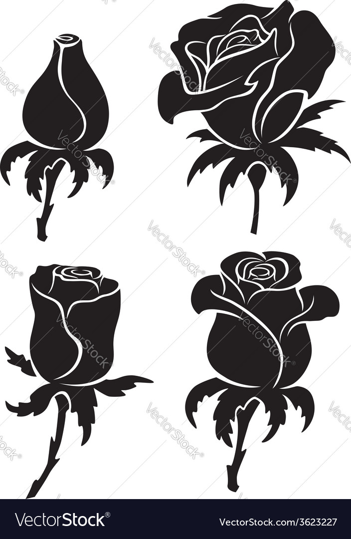 Rose Royalty Free Vector Image - VectorStock