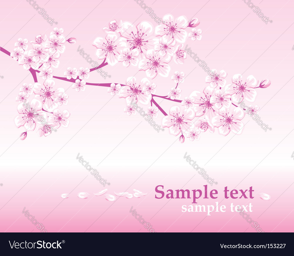 Spring background Royalty Free Vector Image - VectorStock