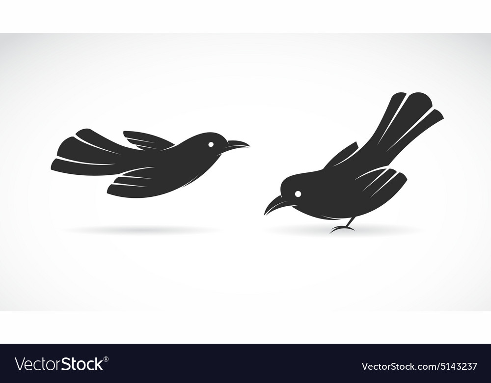 Bird Royalty Free Vector Image - VectorStock
