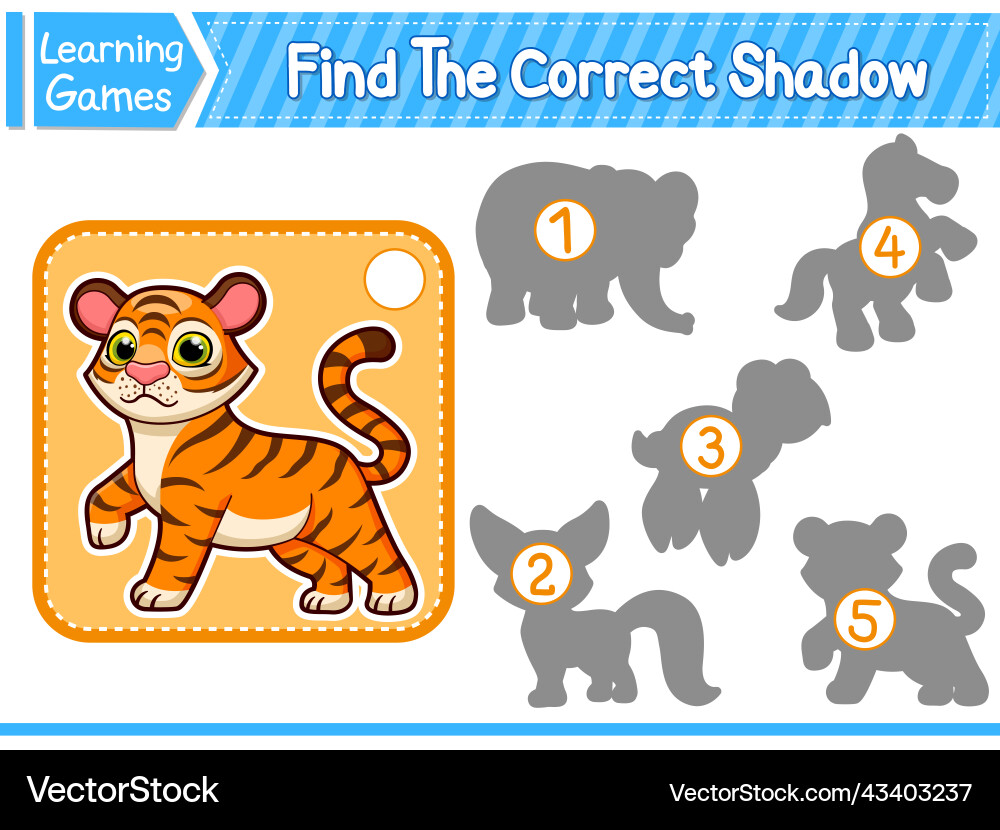 Find the correct shadow and match Royalty Free Vector Image