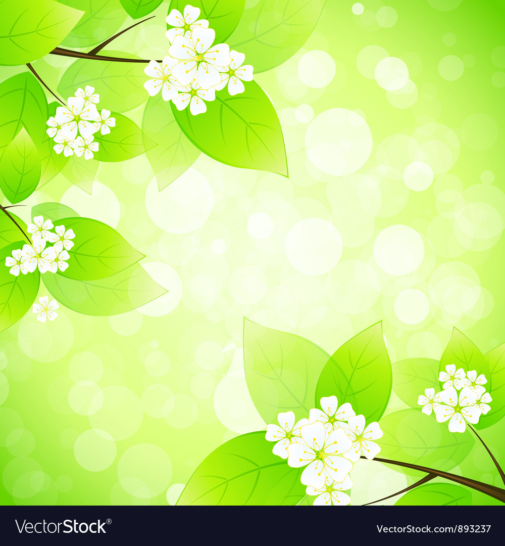 Green background Royalty Free Vector Image - VectorStock
