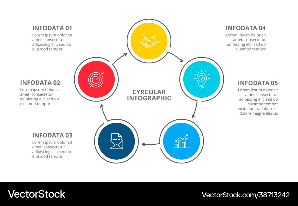 Cyclic diagram infographic with circles modern Vector Image