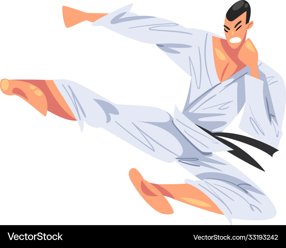 Man jumping side kick male karate fighter Vector Image
