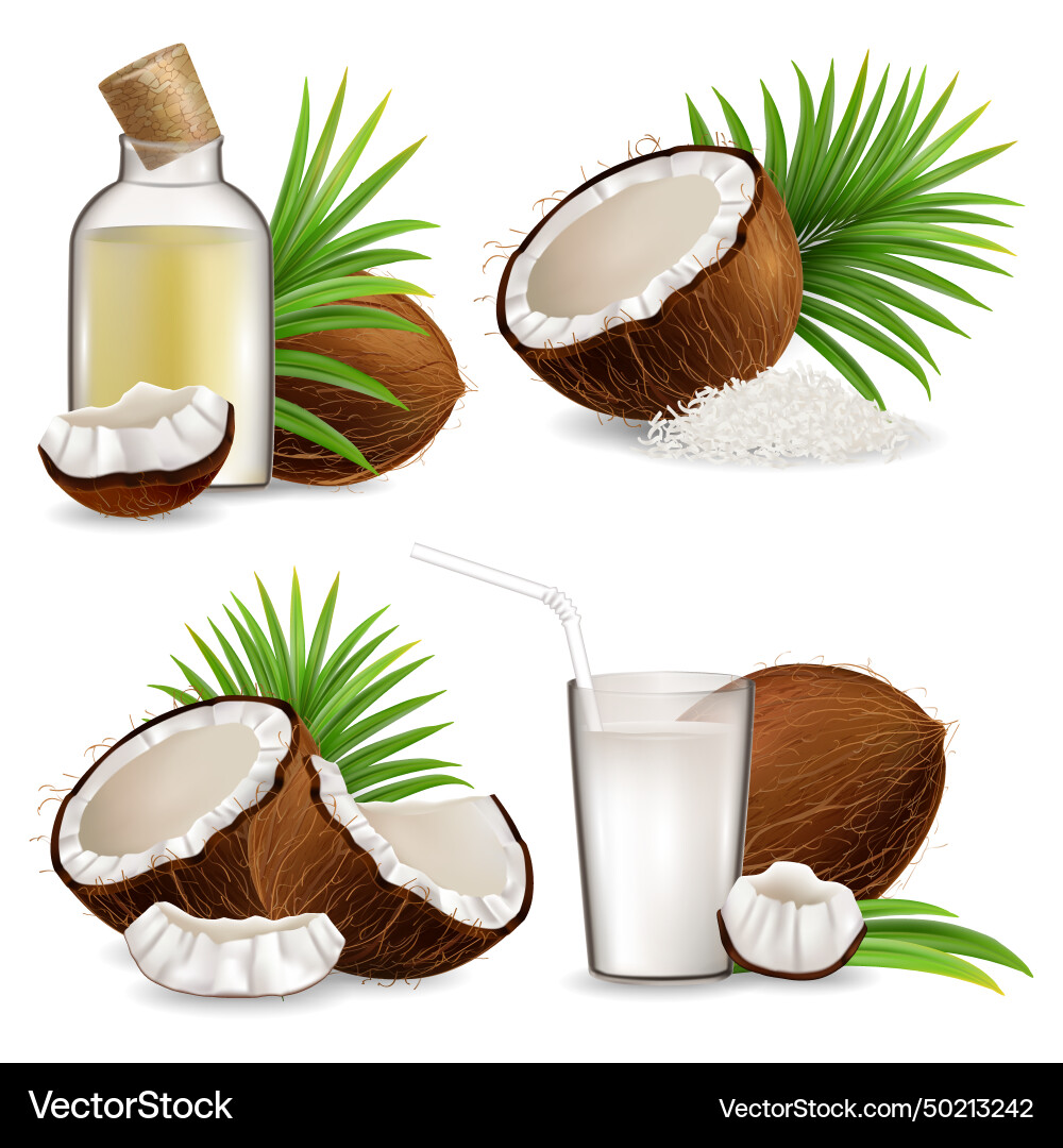 Organic natural coconut set isolated Royalty Free Vector