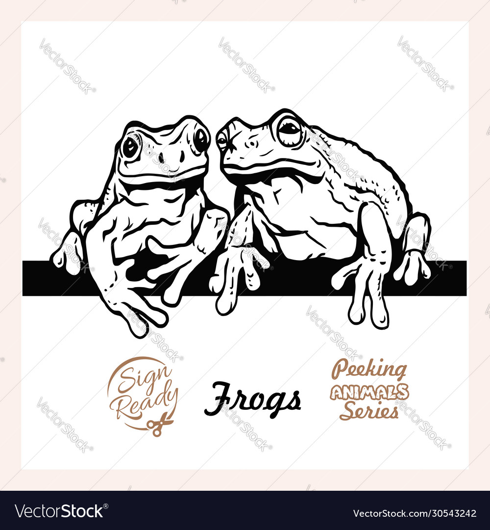 Peeking frogs - funny frogs peeking out - face Vector Image Peeking frogs - funny frogs peeking out - face Vector Image