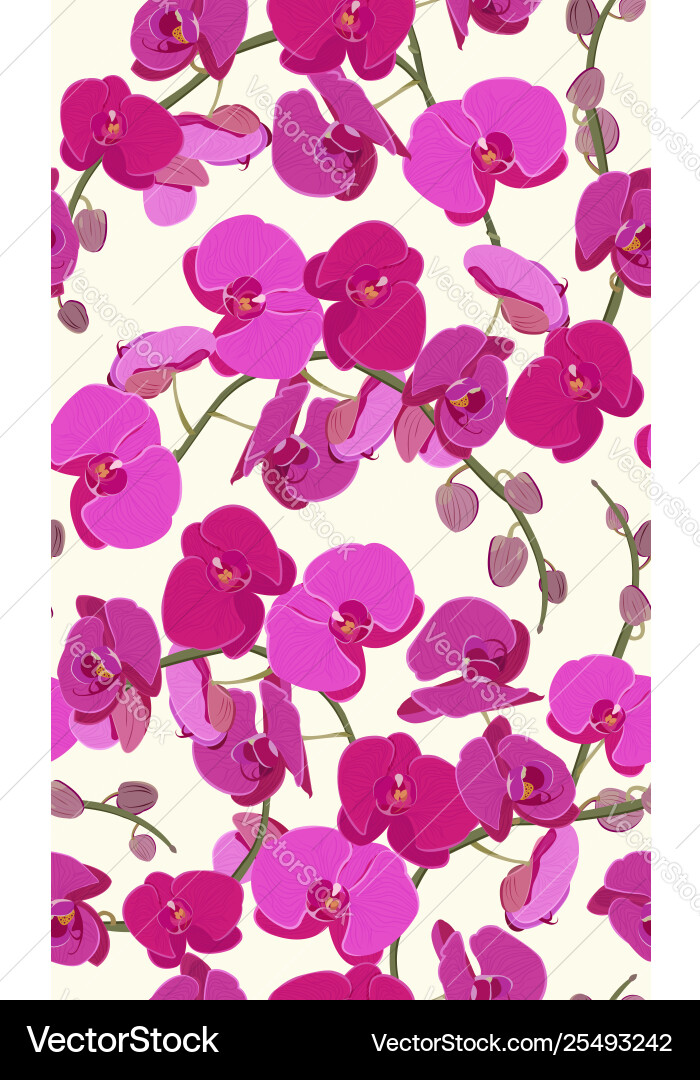 Pink orchid floral seamless pattern flowers bloom Vector Image