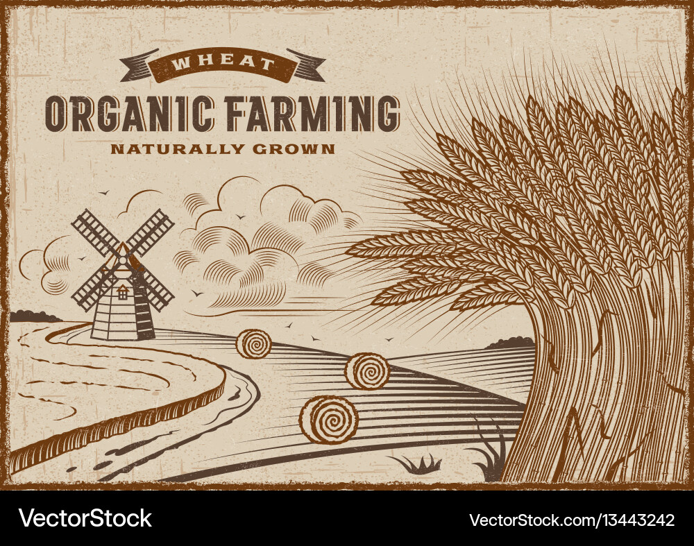 Wheat organic farming landscape Royalty Free Vector Image