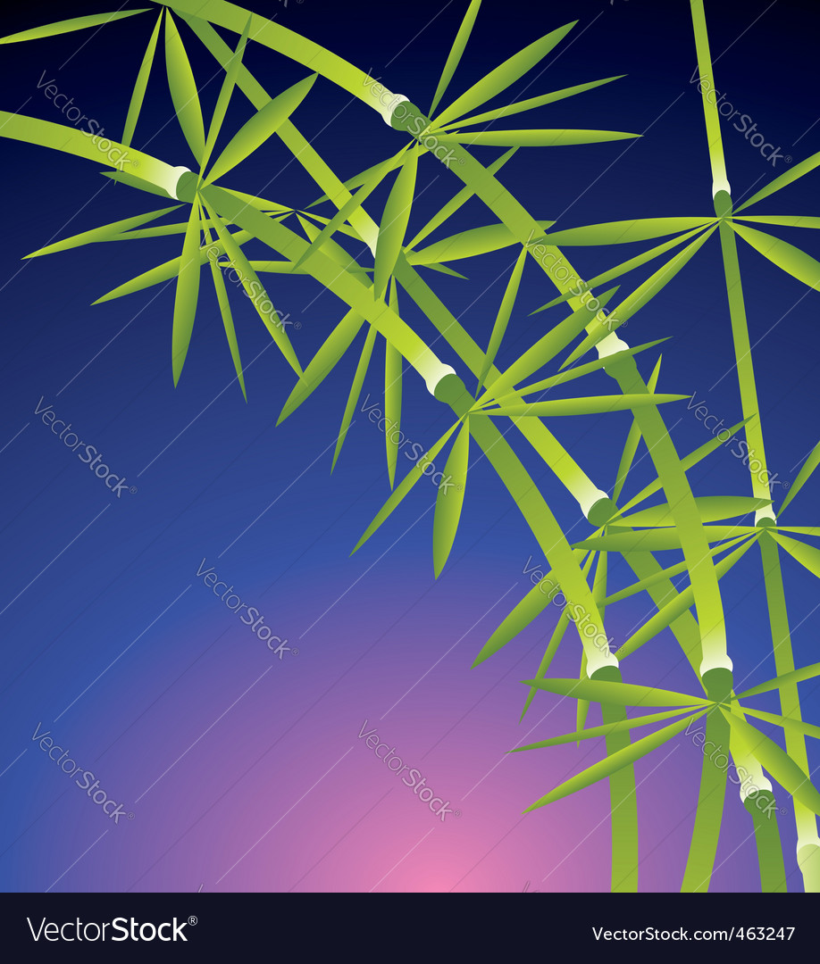 Bamboo Royalty Free Vector Image - VectorStock Bamboo Royalty Free Vector Image - VectorStock