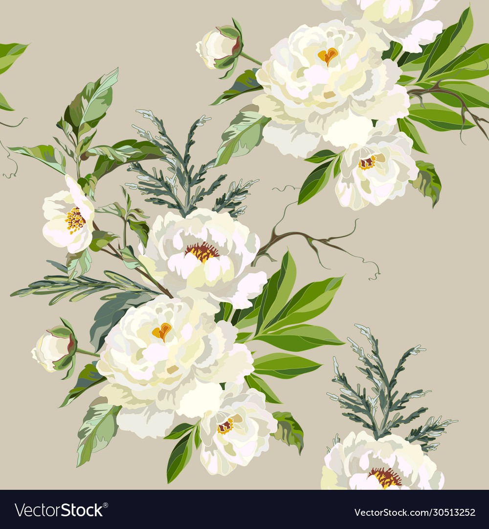 Pattern with white peonies Royalty Free Vector Image
