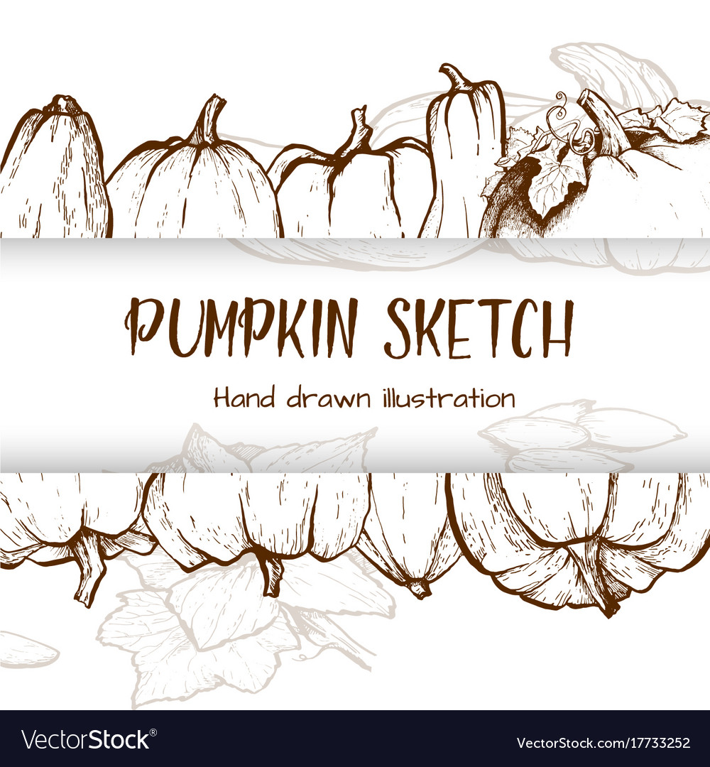 Pumpkin drawing set Royalty Free Vector Image - VectorStock