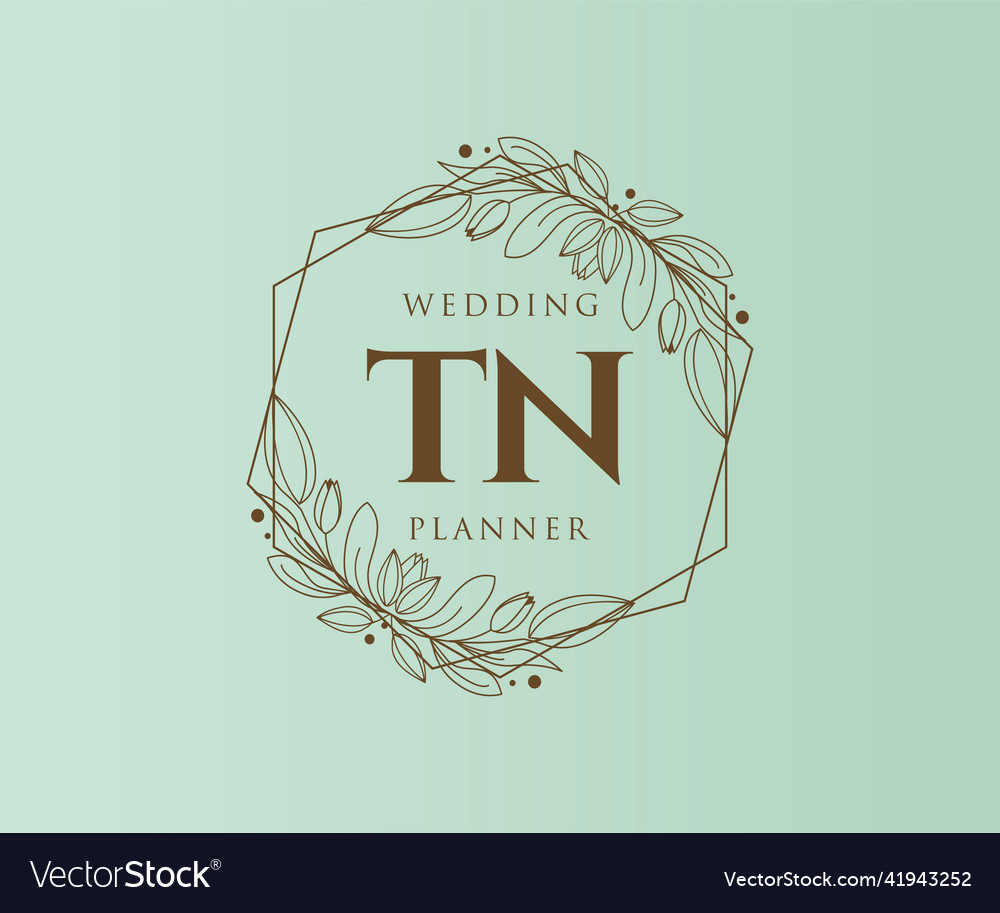 Tn initials letter wedding monogram logos Vector Image