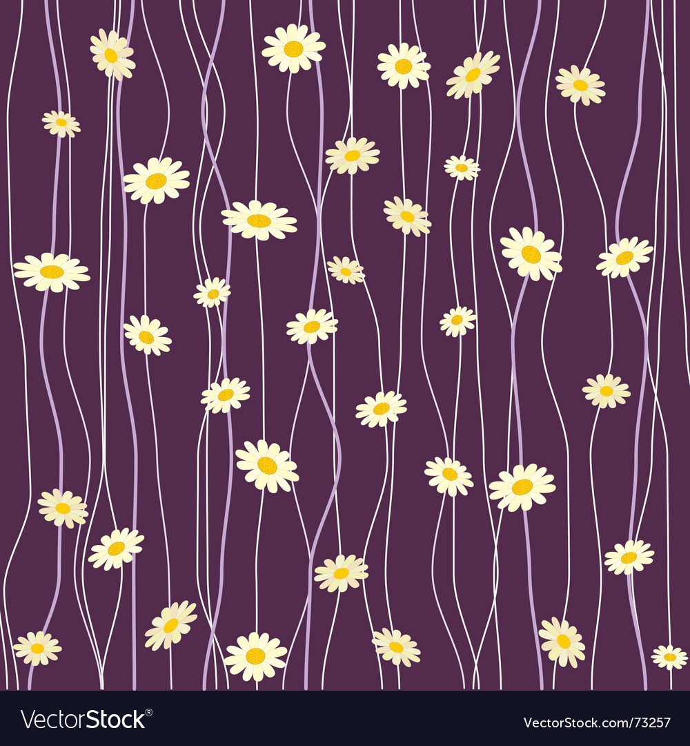 Daisy background Royalty Free Vector Image - VectorStock