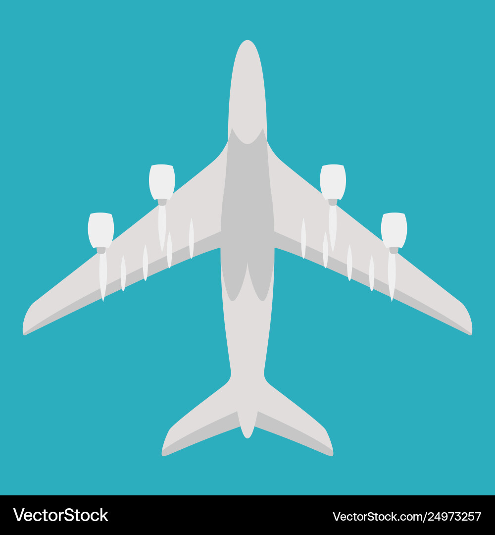 Large passenger plane flat Royalty Free Vector Image