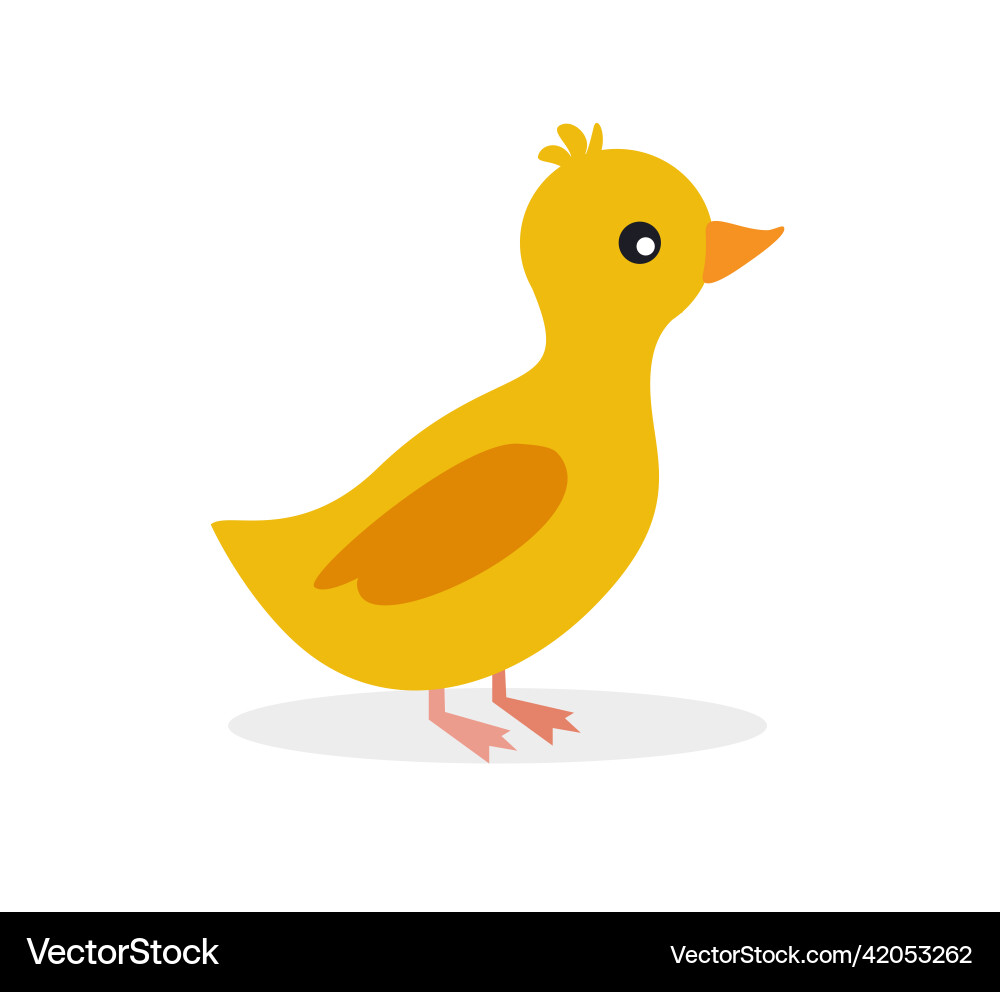 Cute duckling in flat style isolated on white Vector Image