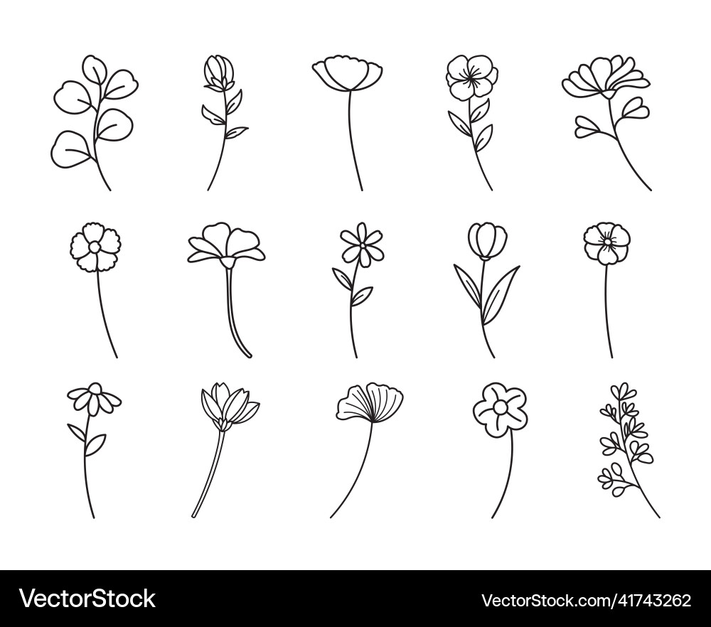 Floral branch set hand drawn with leaves Vector Image