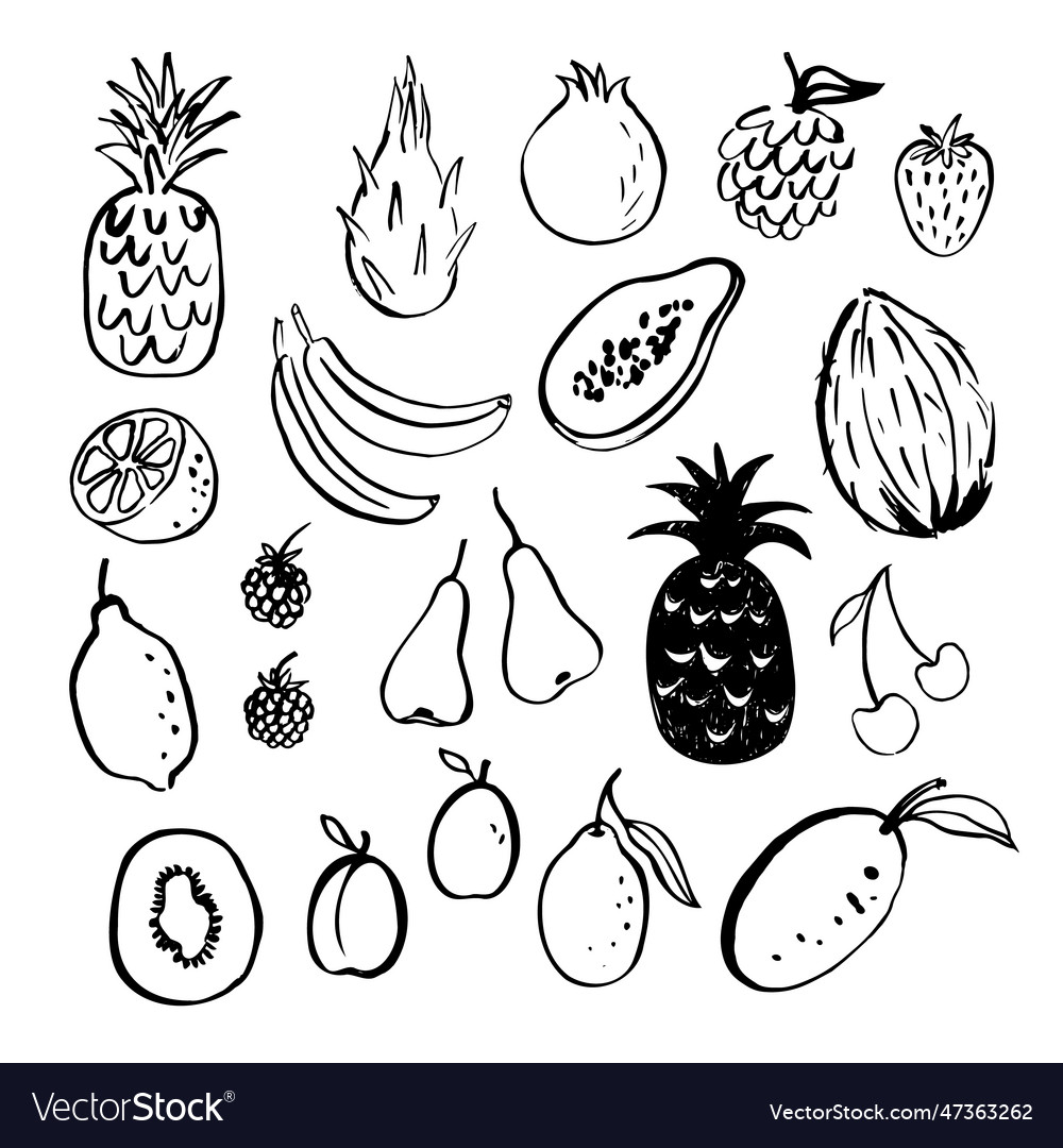 Fruit doodle hand drawn Royalty Free Vector Image