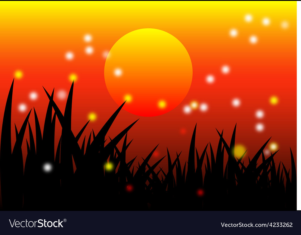 Summer sunset background Royalty Free Vector Image