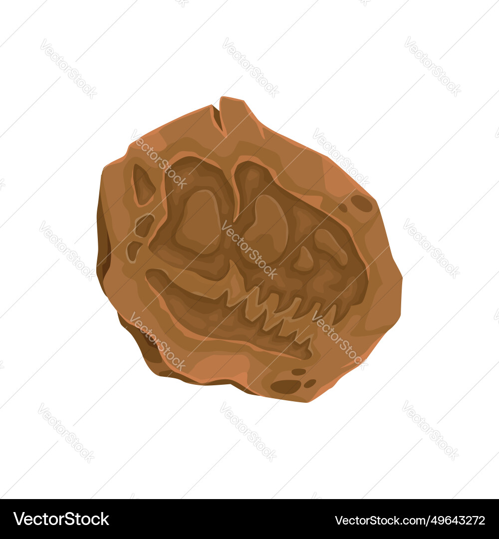 Ancient dinosaur fossil in stone skull imprint Vector Image