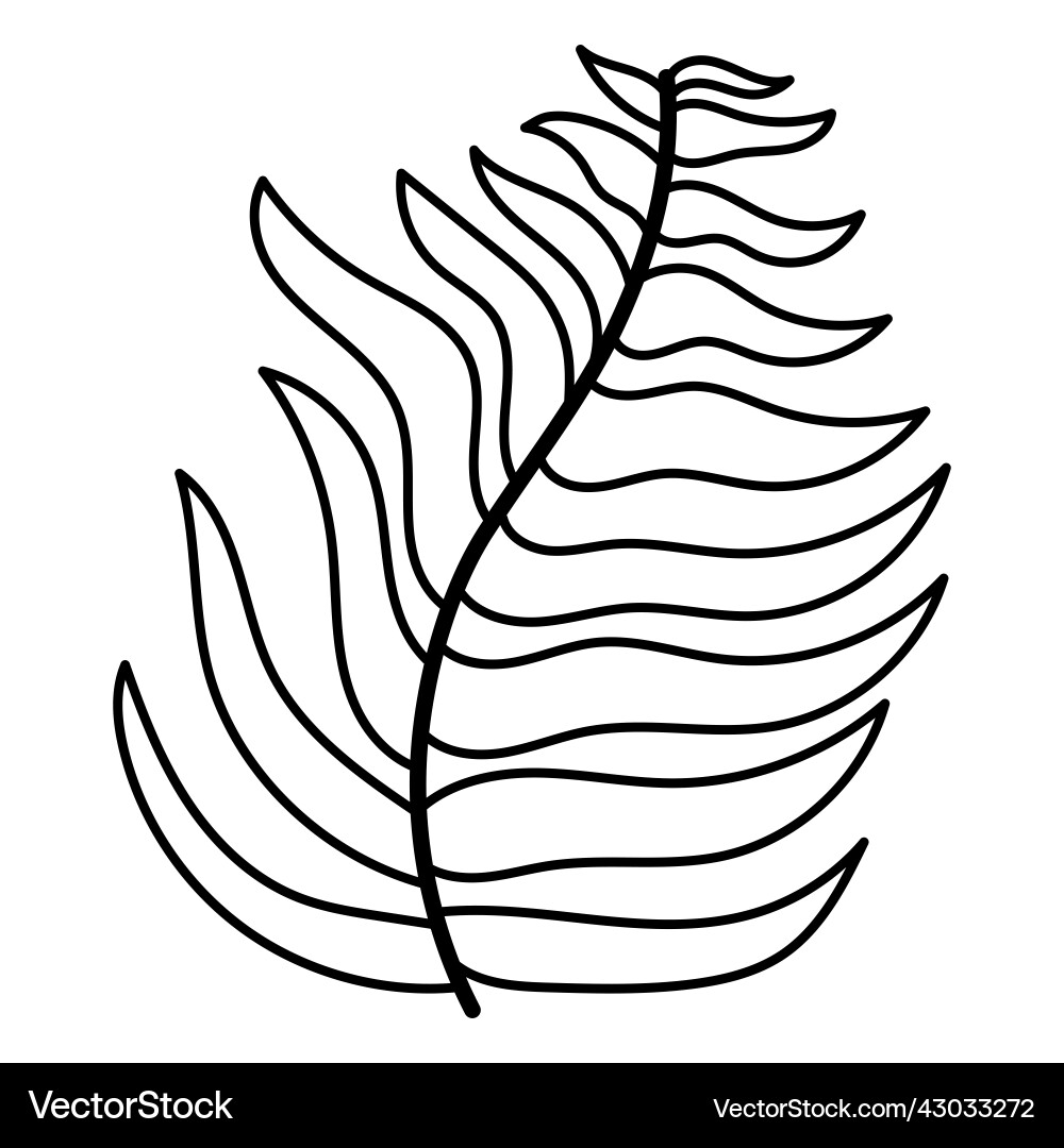 Fern leaf stroke Royalty Free Vector Image - VectorStock