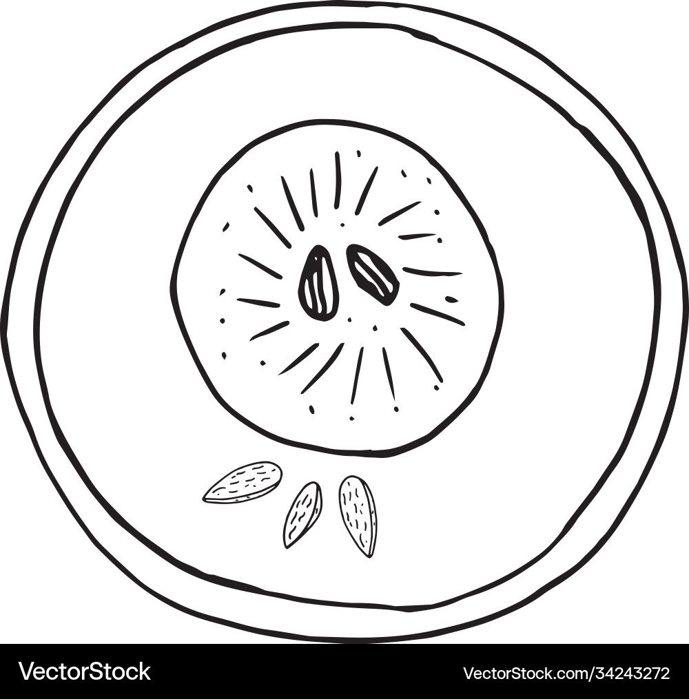 Traditional indian sweets sandesh on plate sketch Vector Image