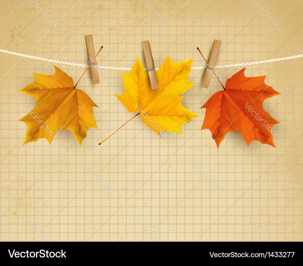 Autumn background with leaves back to school Vector Image
