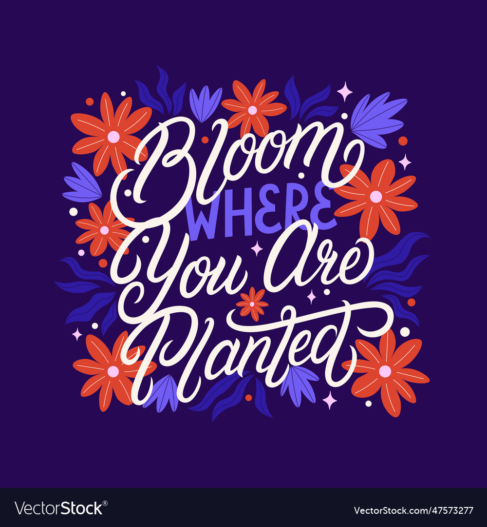 Bloom where you are planted hand written lettering