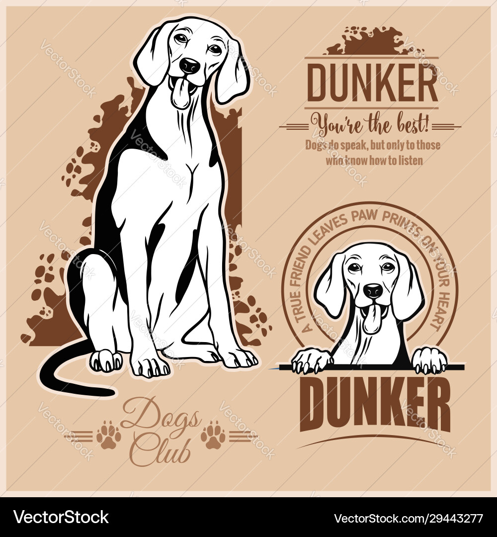 Dunker - set for t-shirt logo and template Vector Image
