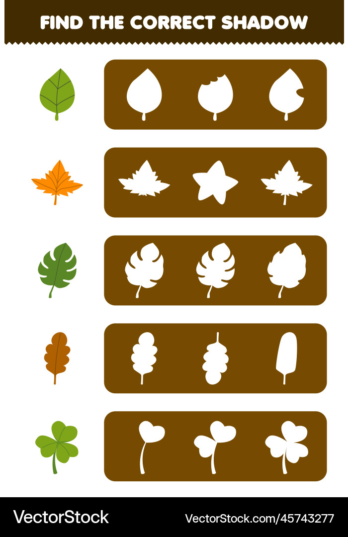 Education game for children find the correct Vector Image