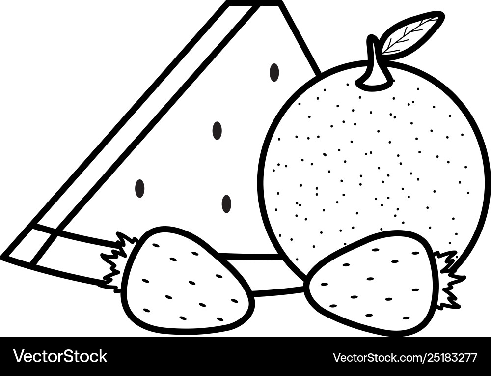 Fresh watermelon with strawberries and orange Vector Image