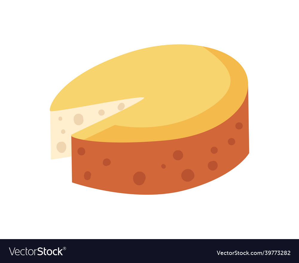 Circle cheese cut Royalty Free Vector Image - VectorStock