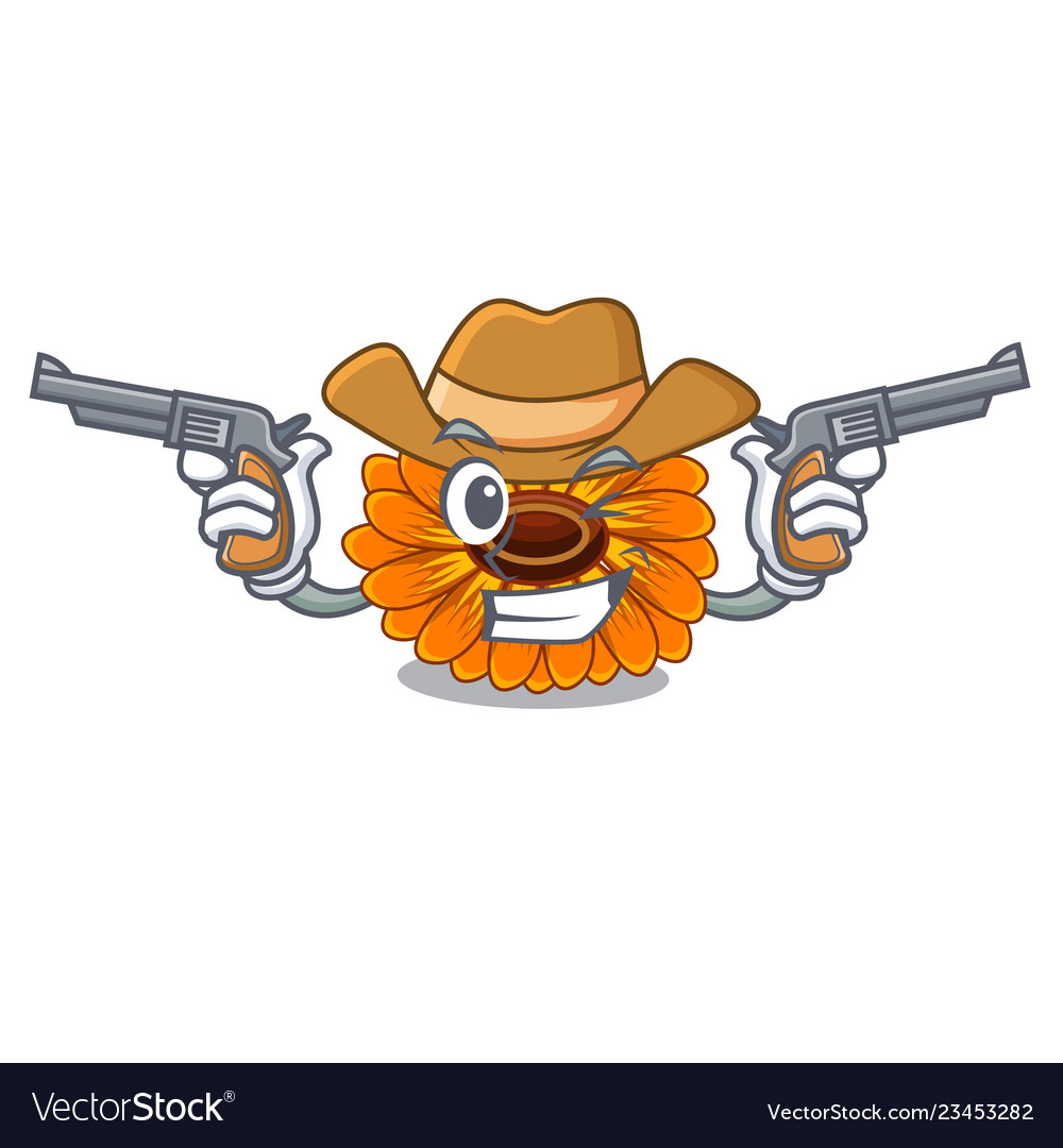Cowboy calendula flowers in the cartoon pots Vector Image