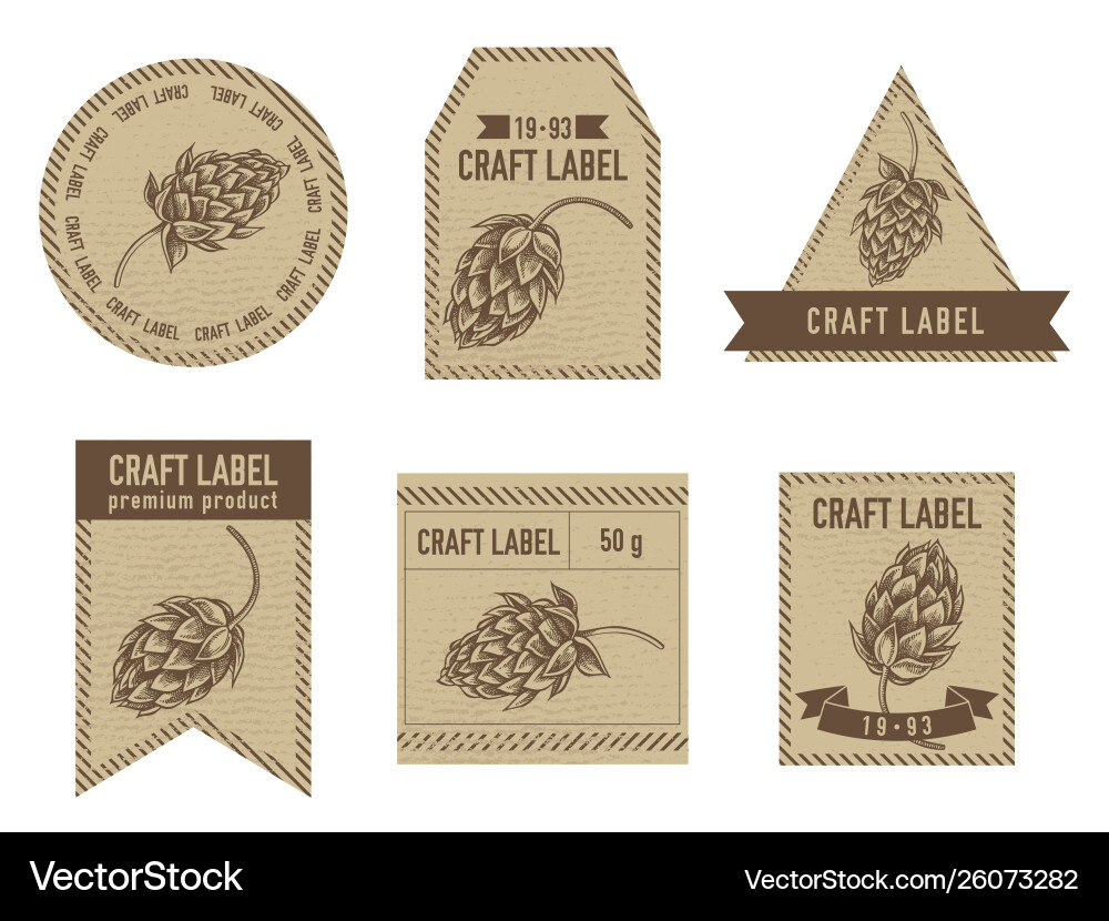 Craft labels with hop stock Royalty Free Vector Image