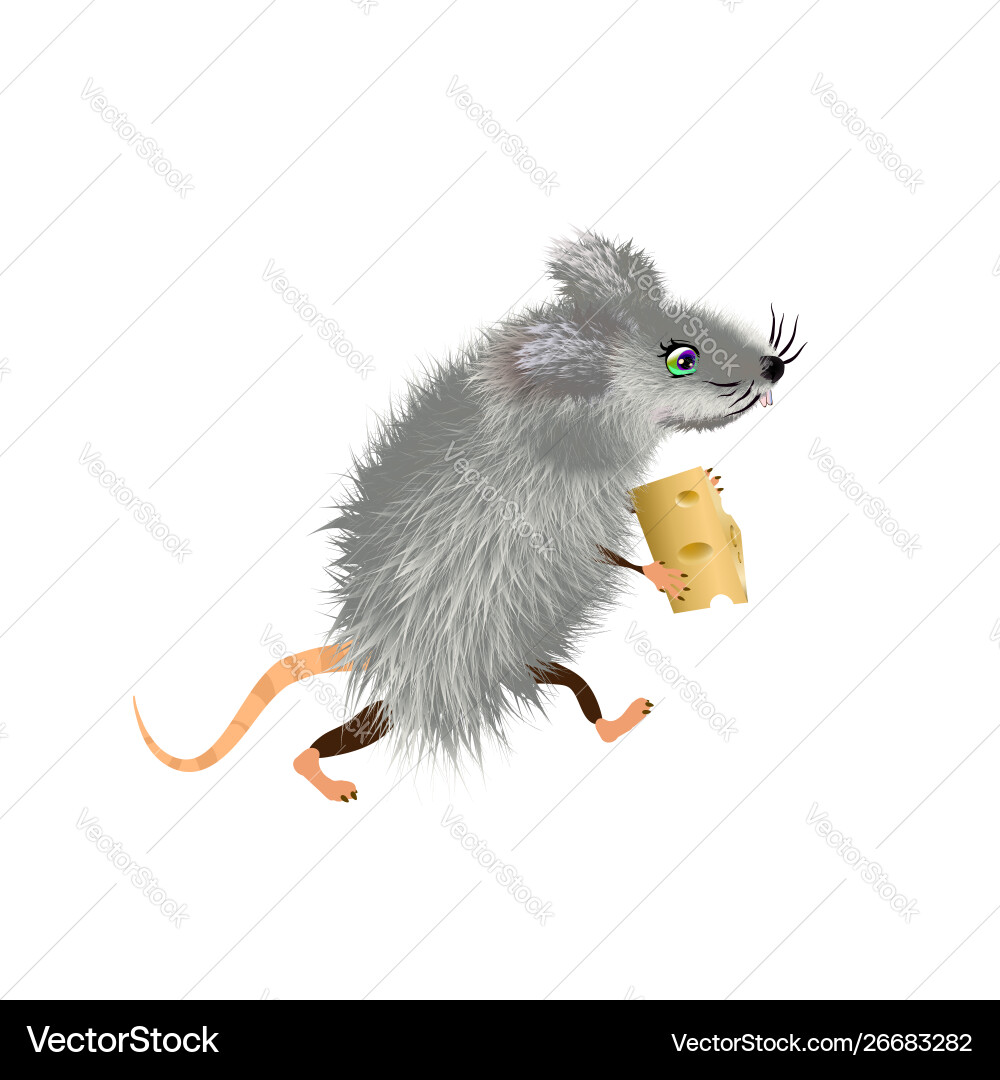 Cute grey downy cartoon mouse with a piece Vector Image